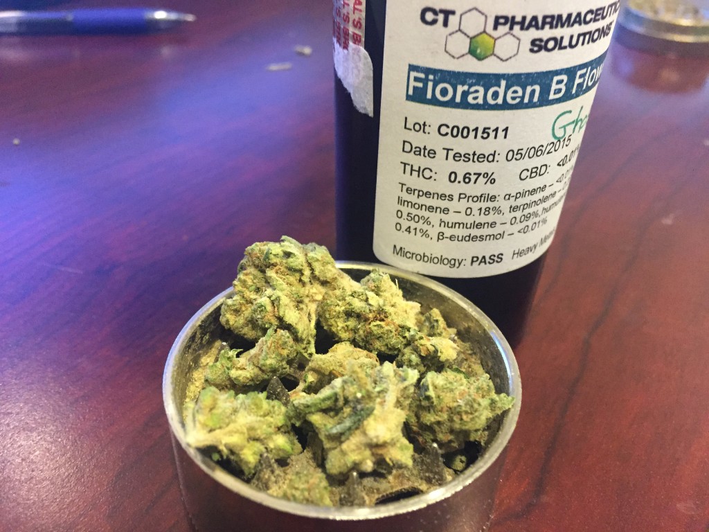 CPS Fioraden B - Strain Review - Dabbin Dad Connecticut Medical ... CPS Fioraden B - Strain Review - Dabbin Dad Connecticut Medical ...