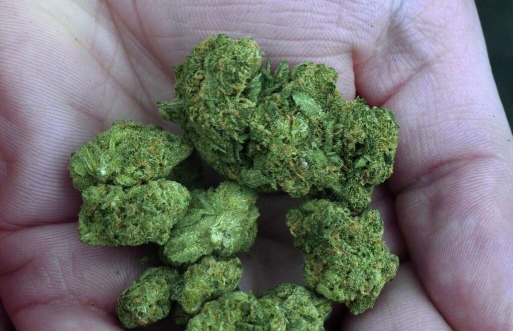 CT Chief State’s Attorney reviewed 4,248 pending cannabis cases ... CT Chief State’s Attorney reviewed 4,248 pending cannabis cases ...