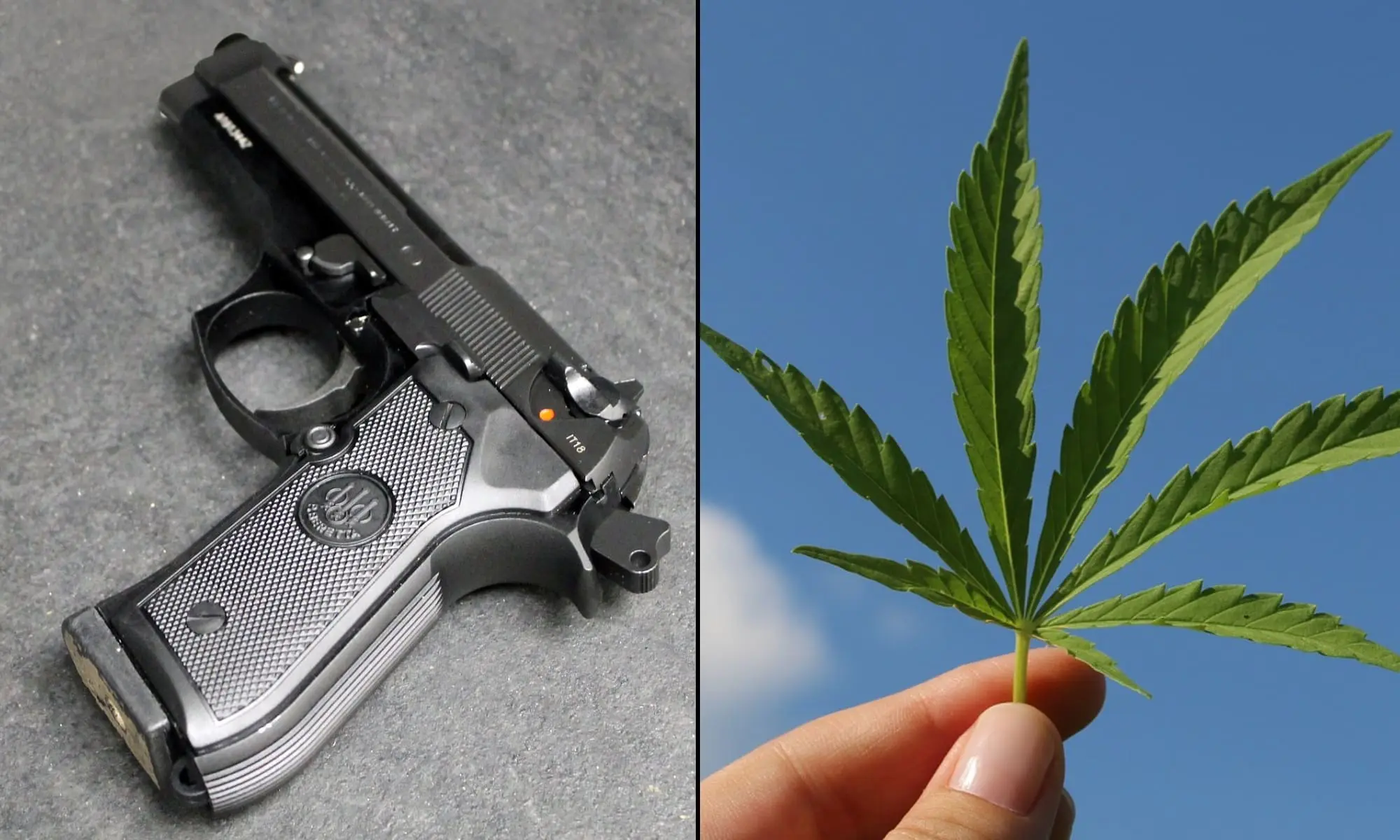 Ganja vs. Glock: Supreme Court Gears Up for a High-Stakes Gun Rights ...