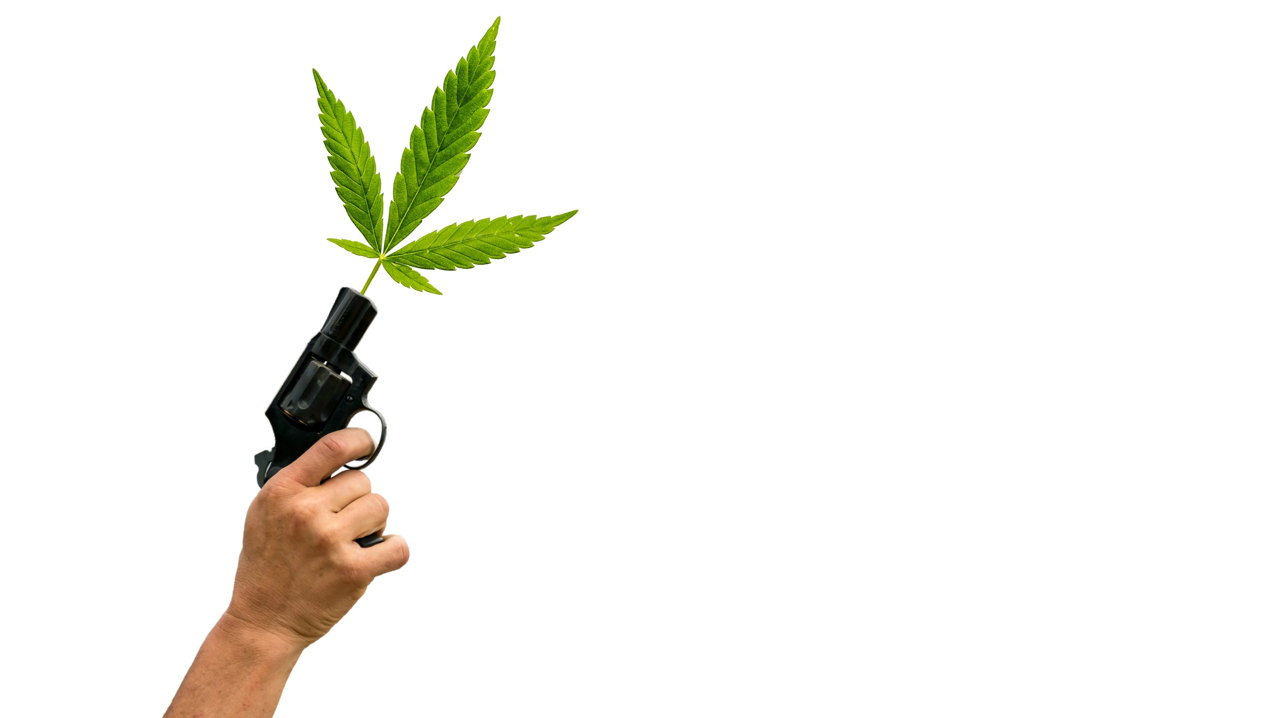 High Times & High Calibers: Colorado’s Cannabis-Gun Showdown - Dabbin ...